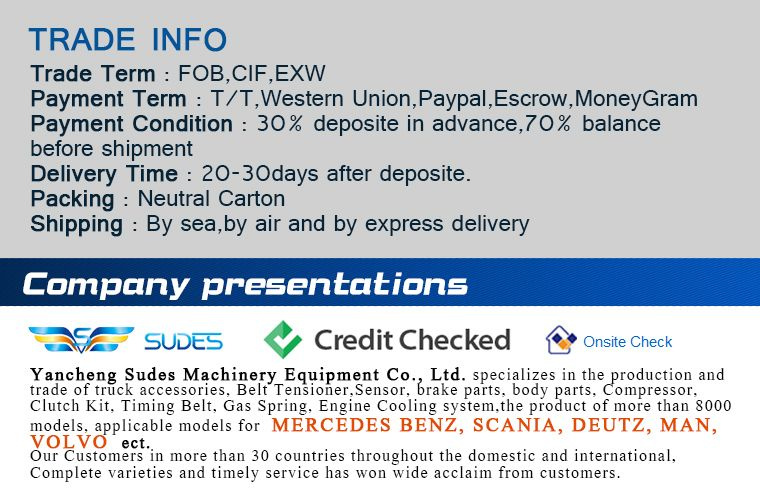 6012001270 Tensioner Pulley Mercedes Benz - IBUYautoparts.com