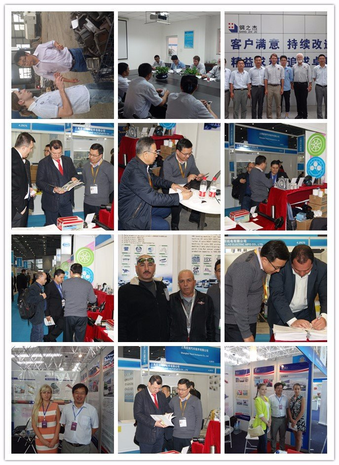 OEM Torque Rod for Volvo, Benz Scania, Man Daf Sinotruk Shacman FAW ...