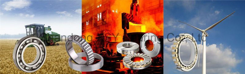 Thrust Ball Bearing 517/38zsv/Ya Bearing 198908k for Steering Knuckle ...