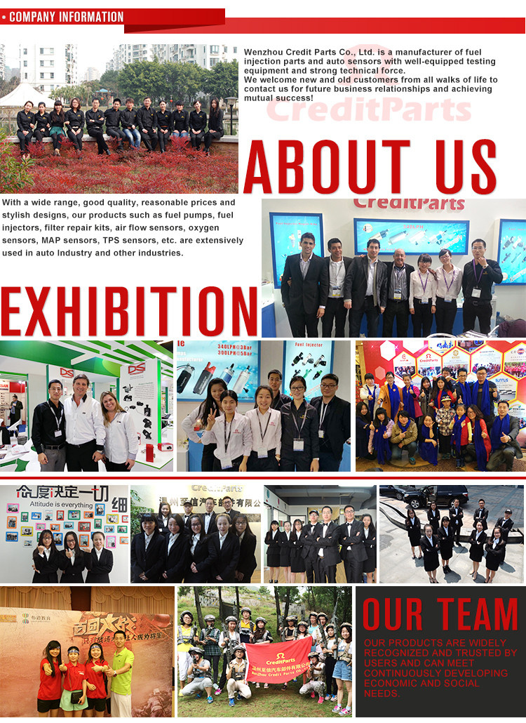 Gasoline Car Engine Fuel Pump for Auto Vehicles OEM 19237645 ...