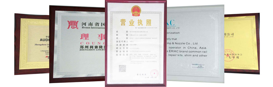 Bosch Diesel Fuel Pump 0445110731 and Diesel Cr Injector 0 445 110 731 ...