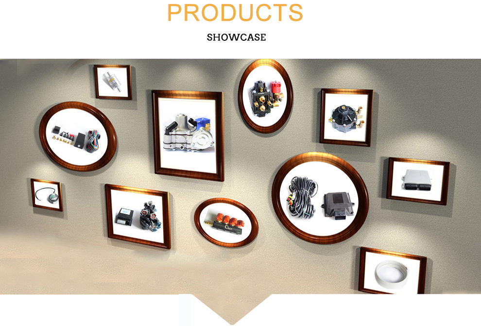 Car CNG LPG ECU Emulator of a Gas System - IBUYautoparts.com