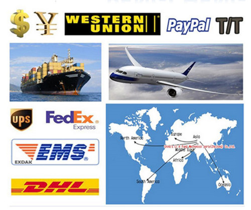 Car Spare Parts Fuel Filter 500054702 5801354114 S6034ne PU7004z ...