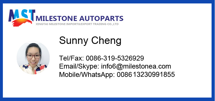 Truck Parts Fuel Filter 504086268 for Iveco - IBUYautoparts.com