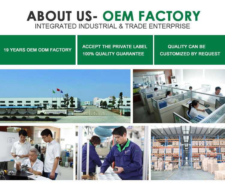 OEM Quality H200W01 Truck Oil Filter 466634 for Volvo Engine ...