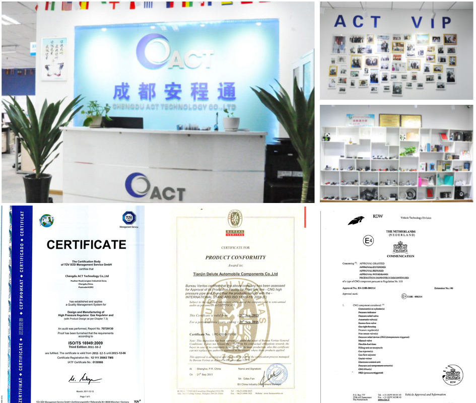 5V CNG Electronic Component ECU Emulator - IBUYautoparts.com